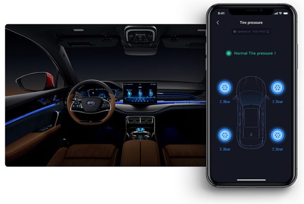 My BYD App | Control Your Car | Qatar